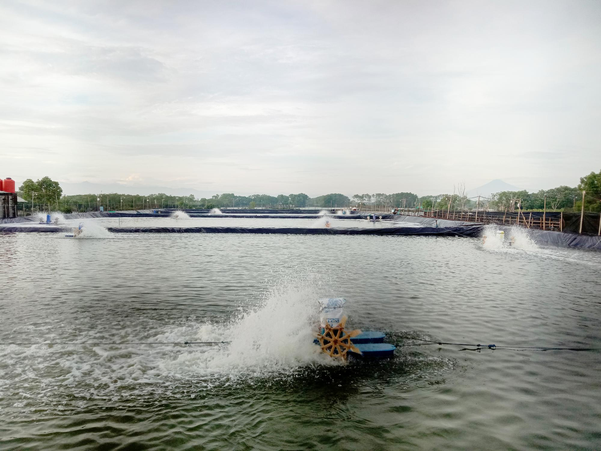 PaddleWheel Aerator and Its Application in Aquaculture - Prolead